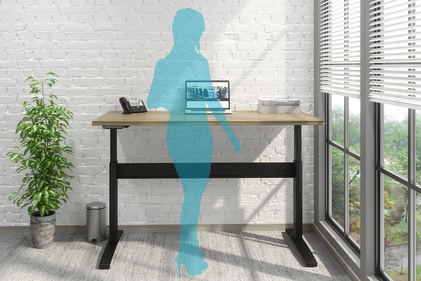 Sit-Stand Units & Ergonomics - Cubicles Plus Office